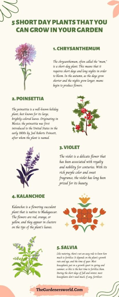 5 Short Day Plants That You Can Grow In Your Garden - The Gardeners World